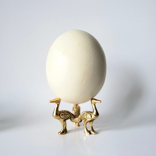 Emu Egg - Etsy