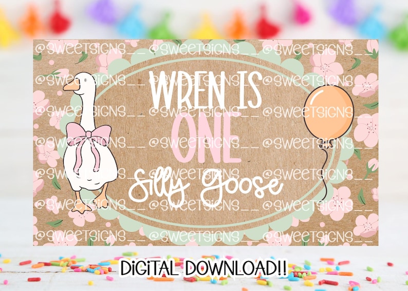 Silly Goose Birthday Banner Template | Editable Canva Banner | 36x60 ...