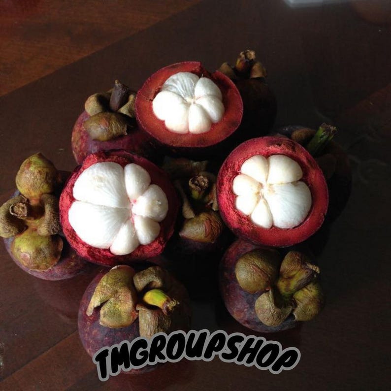 50 Mangosteen Seeds | Garcinia Mangostana Tropical Fruit | Sweet & Sour ...