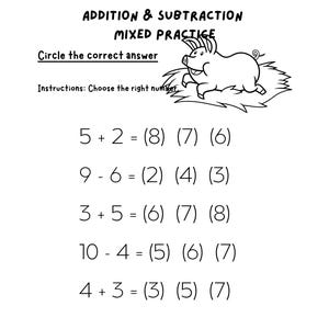 Addition & Subtraction Worksheets | Mixed Math Practice to 20 | 1st ...