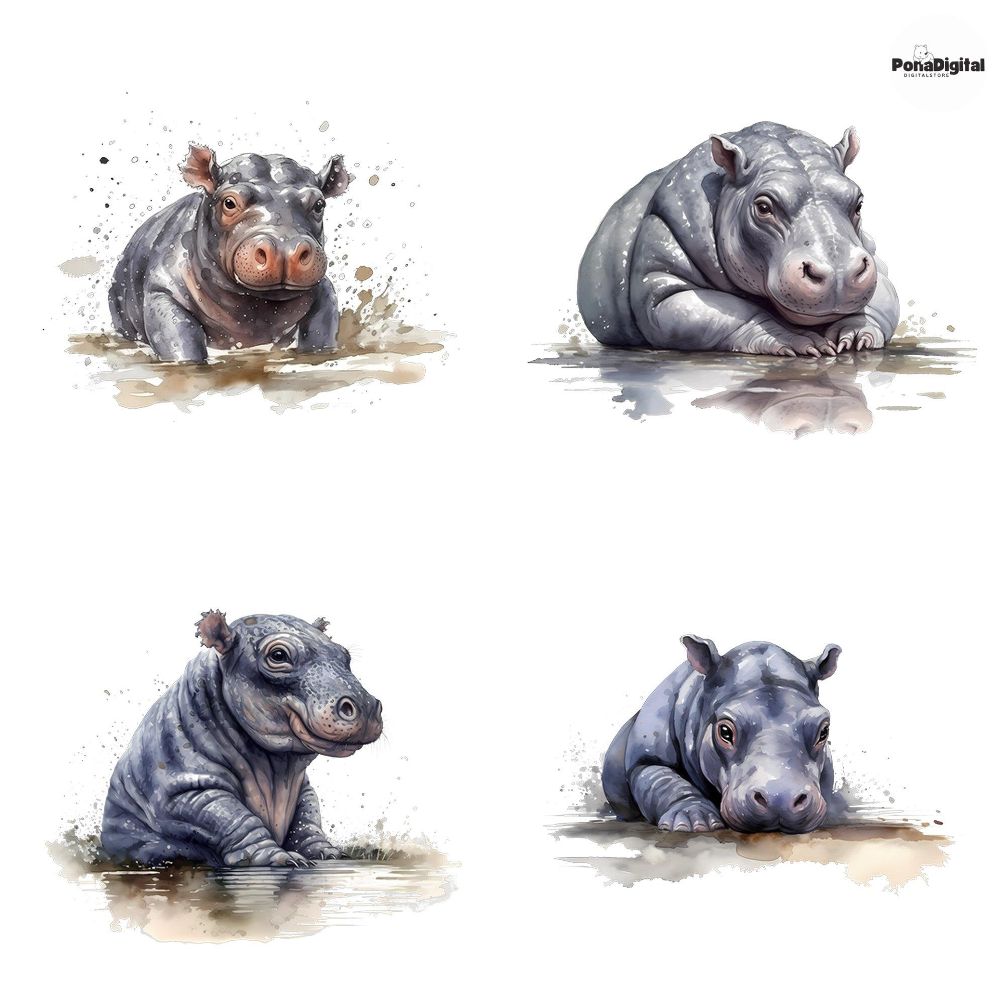 Watercolor Baby Hippo Clipart Bundle PNG,15+ Hippo Sleeping Clipart ...