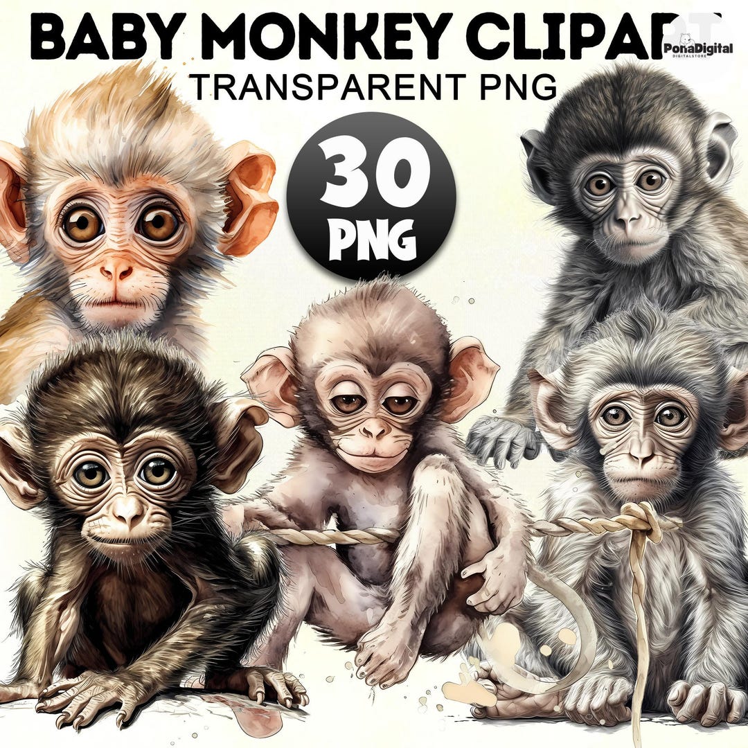 Watercolor Baby Monkey Clipart Bundle PNG,30+ Cute Animals Png, Baby ...