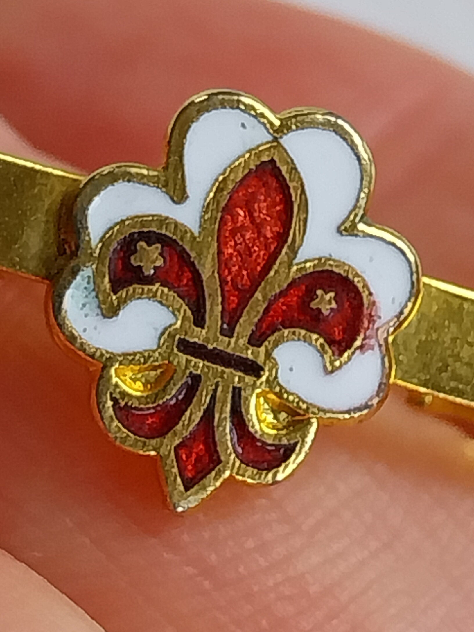 Vintage Enamel Scout Pin - Etsy