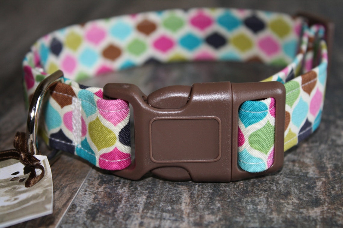 Dog Collar, Dog Collars, Girl Dog Collar, Boy Dog Collar, Female Dog ...
