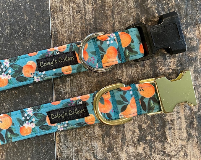 Personalized Dog Collar, Summer Dog Collar, Dog Collars, Dog Collar Boy ...