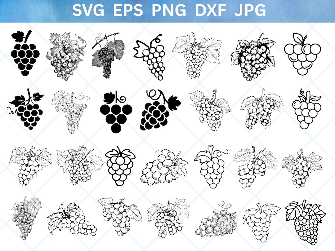 Grape SVG, Wine Svg Bundle, Fruit SVG, Vineyard Cut File, Wine SVG, Grape Cricut, Grape Vector ...