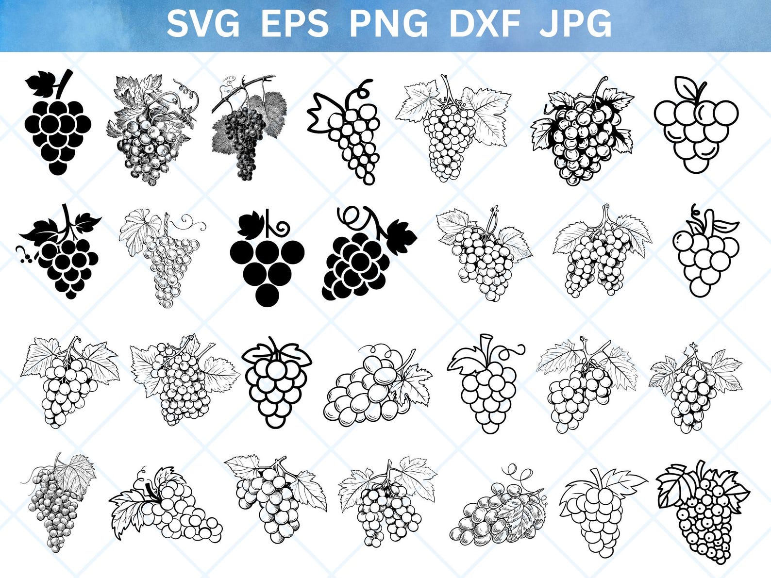 Grape SVG, Wine Svg Bundle, Fruit SVG, Vineyard Cut File, Wine SVG ...