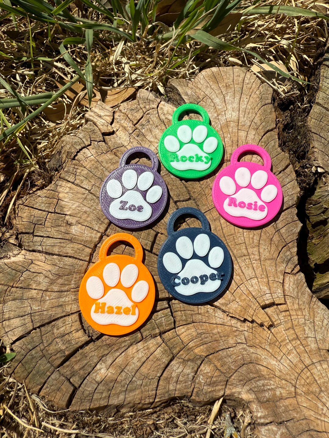 Custom Smart Pet Name Tag, Smart Name Tag, 3D Print Name Tag, NFC Tag ...
