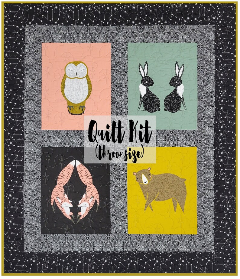 Moda Panel Quilt Kit Easy Quilt Kit Beginner Quilt Kit - Etsy