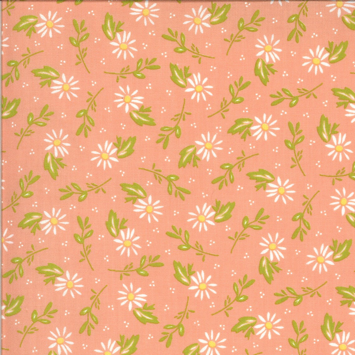 Moda Layer Cake Pre Cut 10 Squares Quilting Layer - Etsy