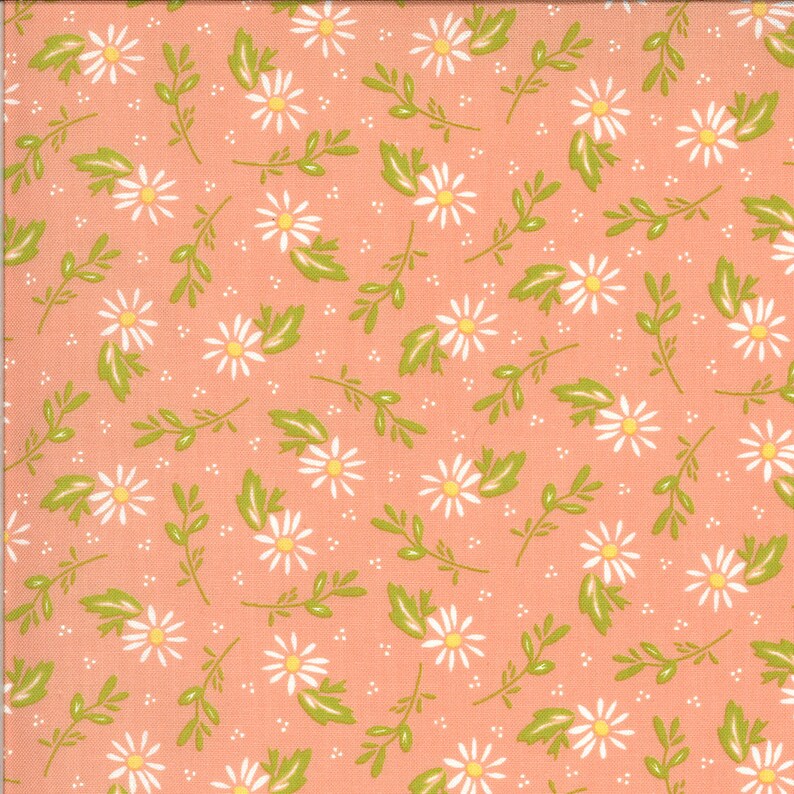 Moda Layer Cake Pre Cut 10 Squares Quilting Layer - Etsy