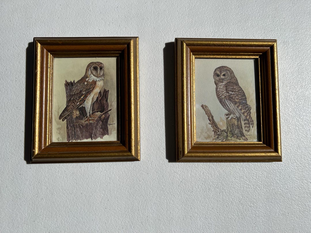 1970s Framed Owl Prints by E. Rambow - Etsy
