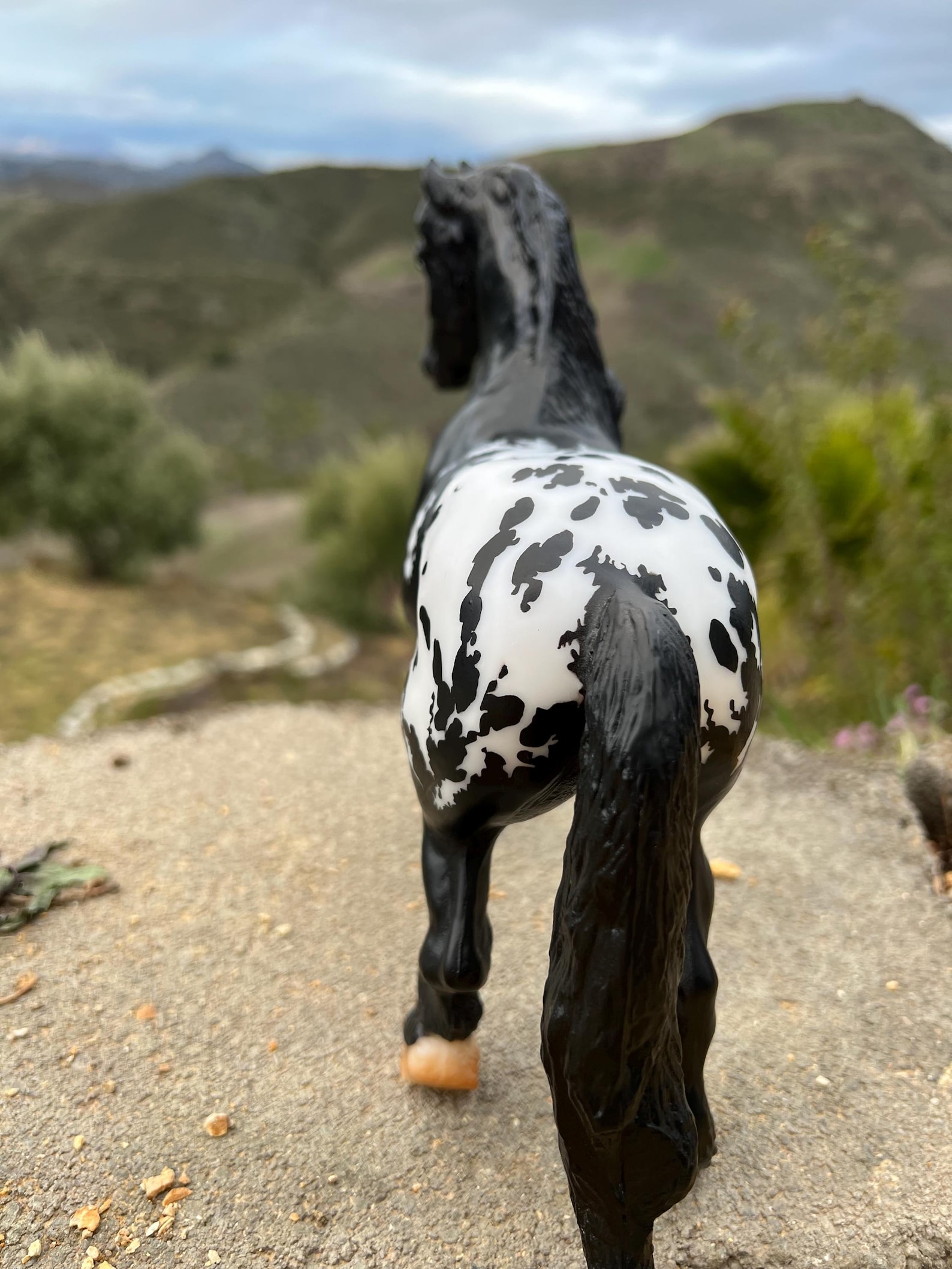 Breyer Friesian Harley Appaloosa Model Horse - Vintage Collectible - Etsy