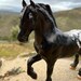 Breyer Friesian Harley Appaloosa Model Horse - Vintage Collectible - Etsy