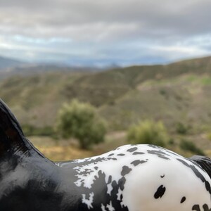 Breyer Friesian Harley Appaloosa Model Horse - Vintage Collectible - Etsy