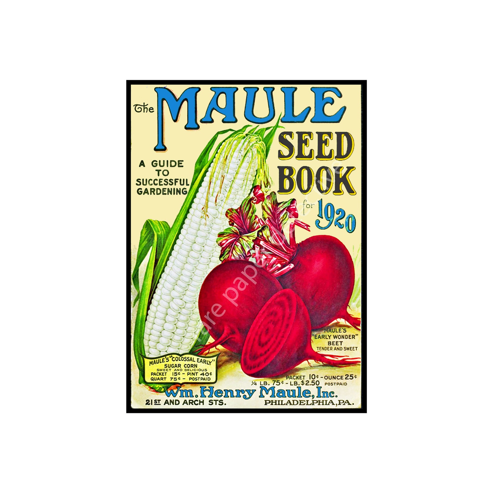 Antique Seed Catalog Print 5 X 7 Floral Ephemera 1920 | Etsy