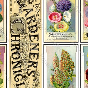 Flower Seed Packets, Vintage Seed Packs, Garden Greenhouse Labels ...