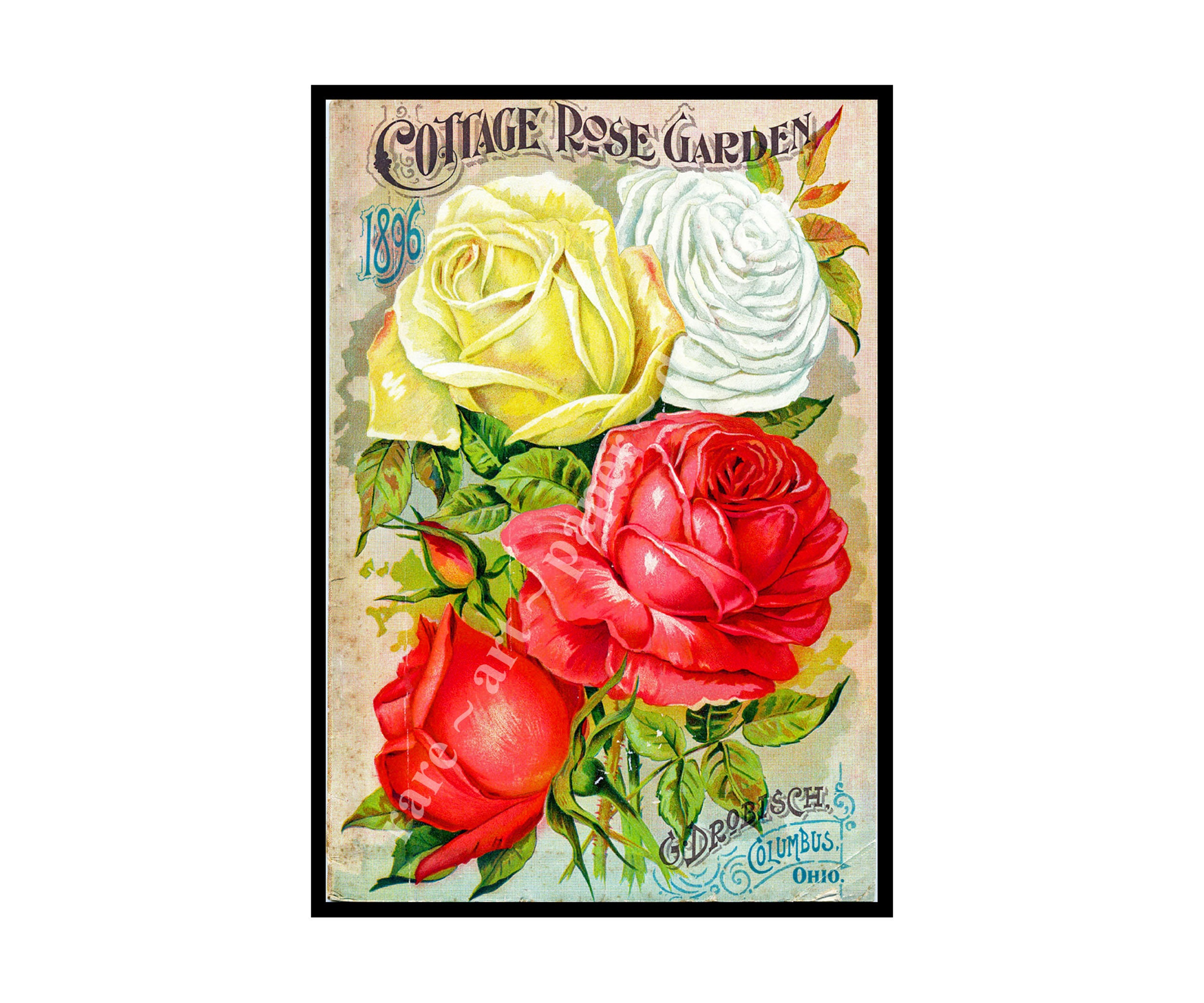 Rose Garden Stickers 6 Old Fashioned Colorful 4 x | Etsy