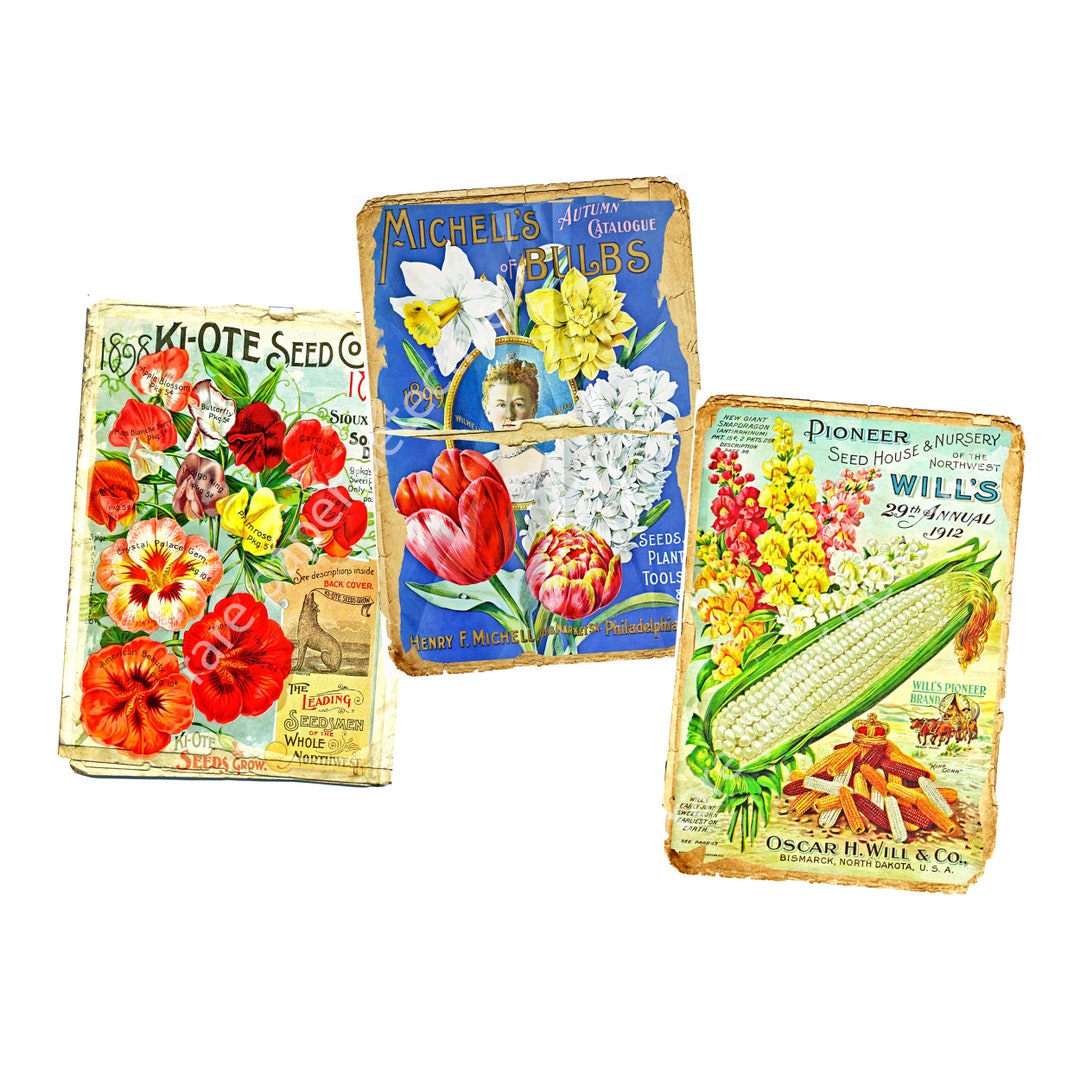Antique Seed Postcard Illustration Stickers Seed Packet Gardener's Gift ...