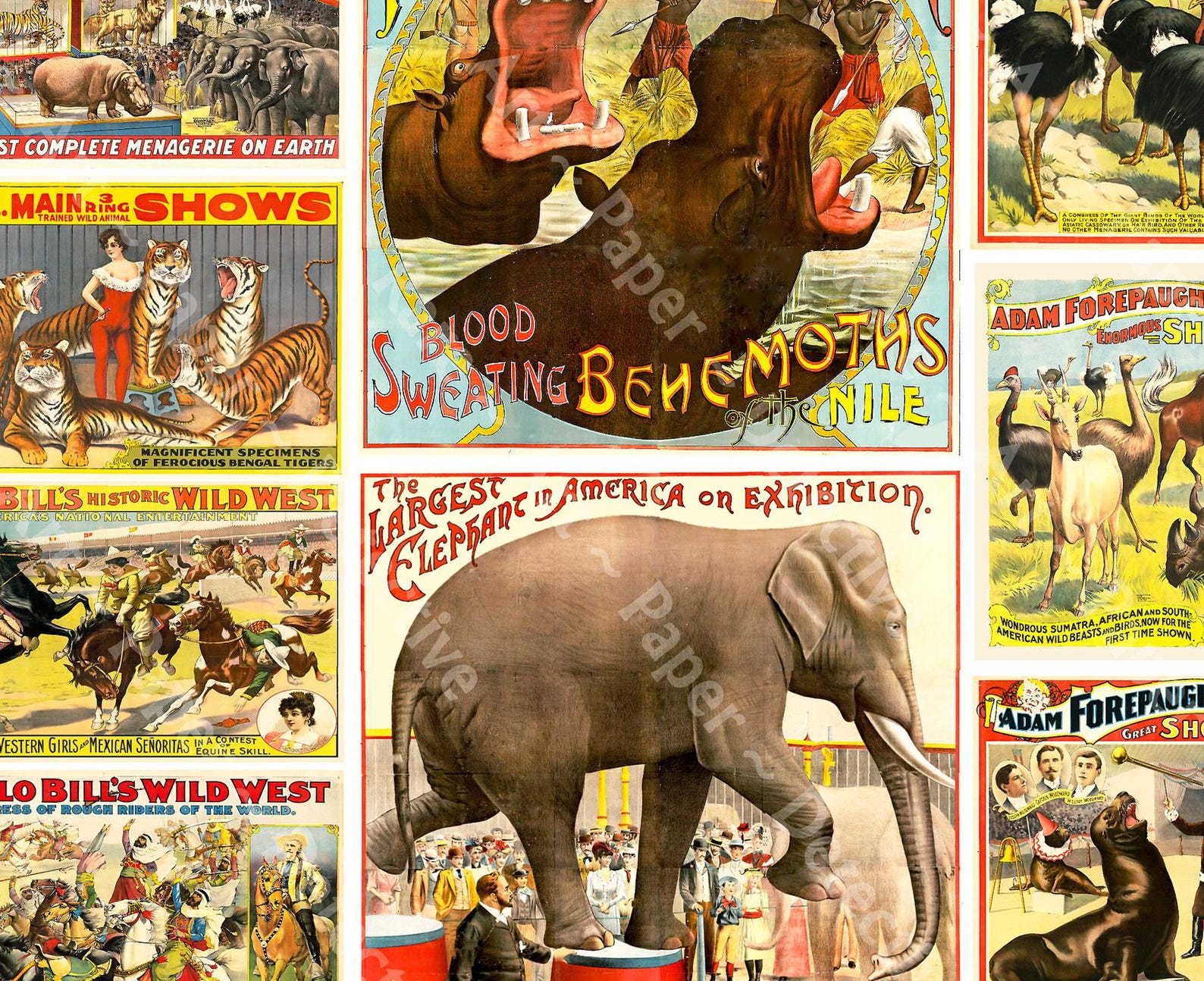 Circus Animal Show Posters, Miniature Size for Scrapbooks & Junk ...