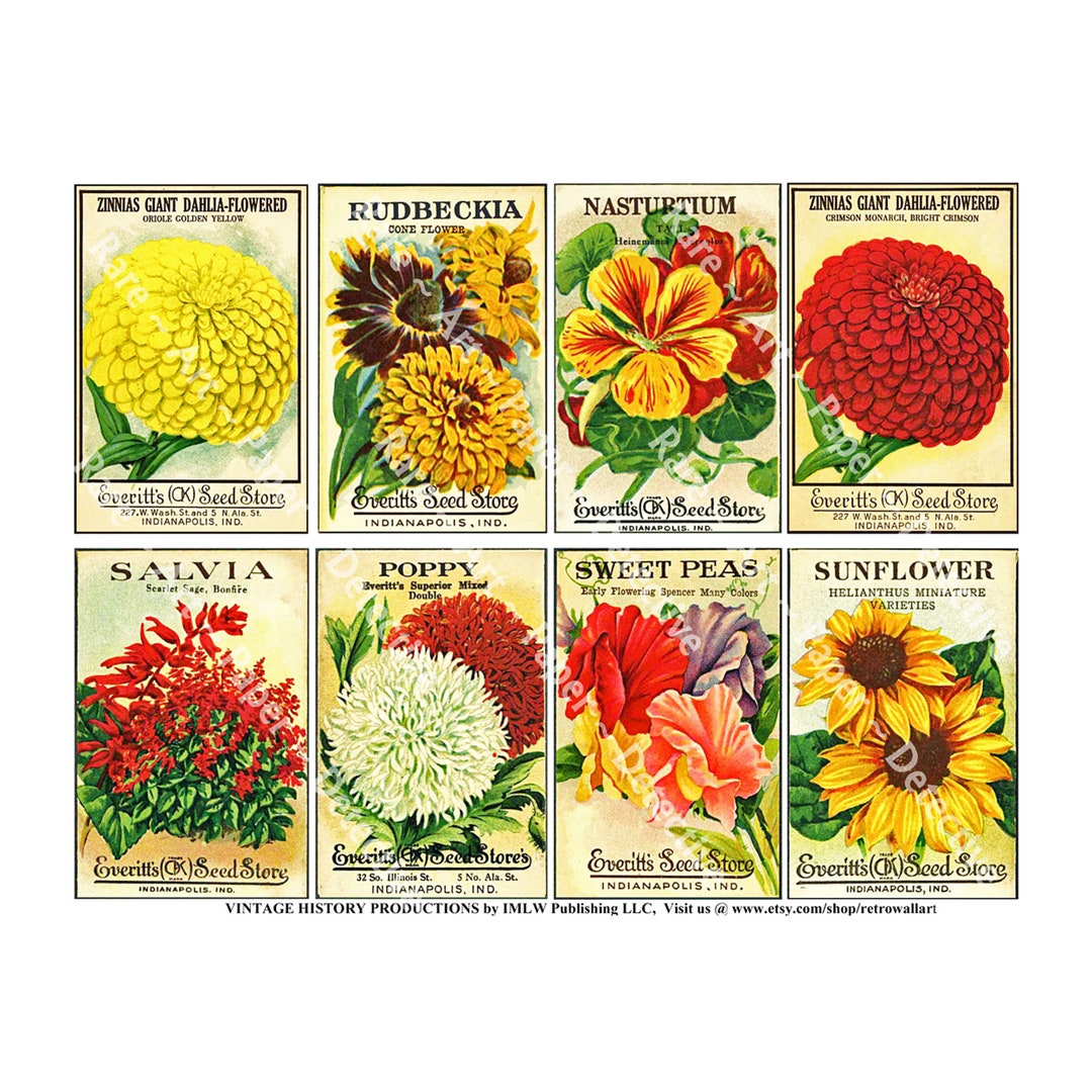 Antique Flower Seed Packet Sticker Sheet, Vintage Seed Packs for Garden ...