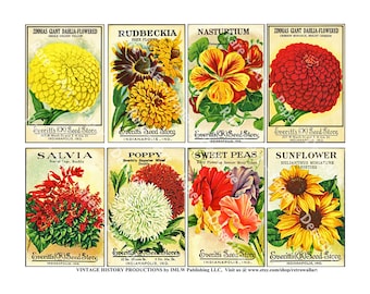 Vintage Printable Flower Seed Packet Collage Sheet Digital - Etsy