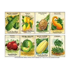 Seed Packet Sticker Sheet, Vintage Vegetable Seed Pack Illustrations ...