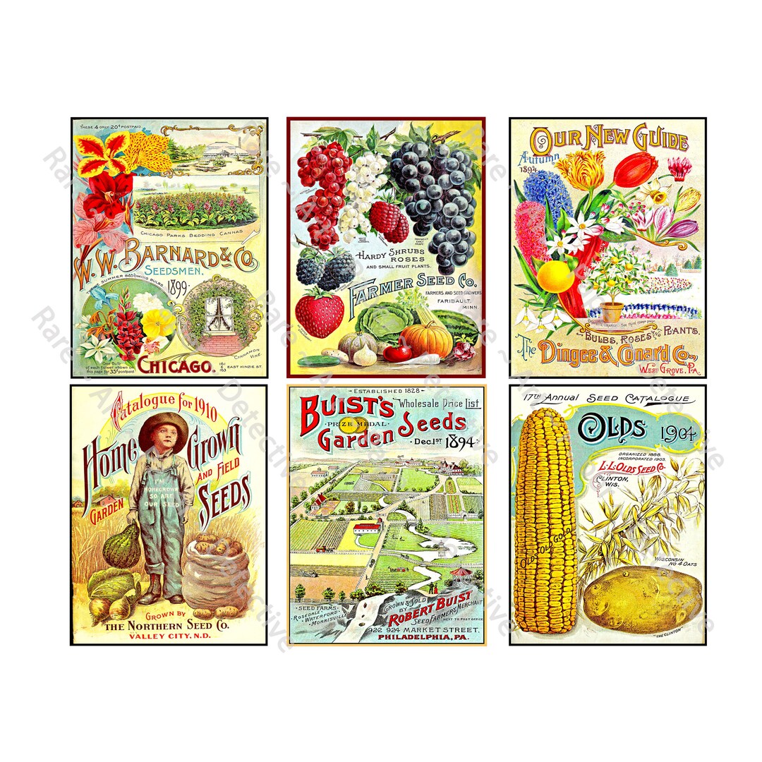 Antique Garden Seed Packet Stickers: Vintage Catalog Cover Labels - Etsy