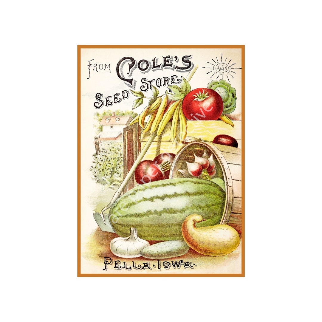 Garden Seed Pack Art, Vintage Style 5" X 7" Seed Packet Art Print for ...