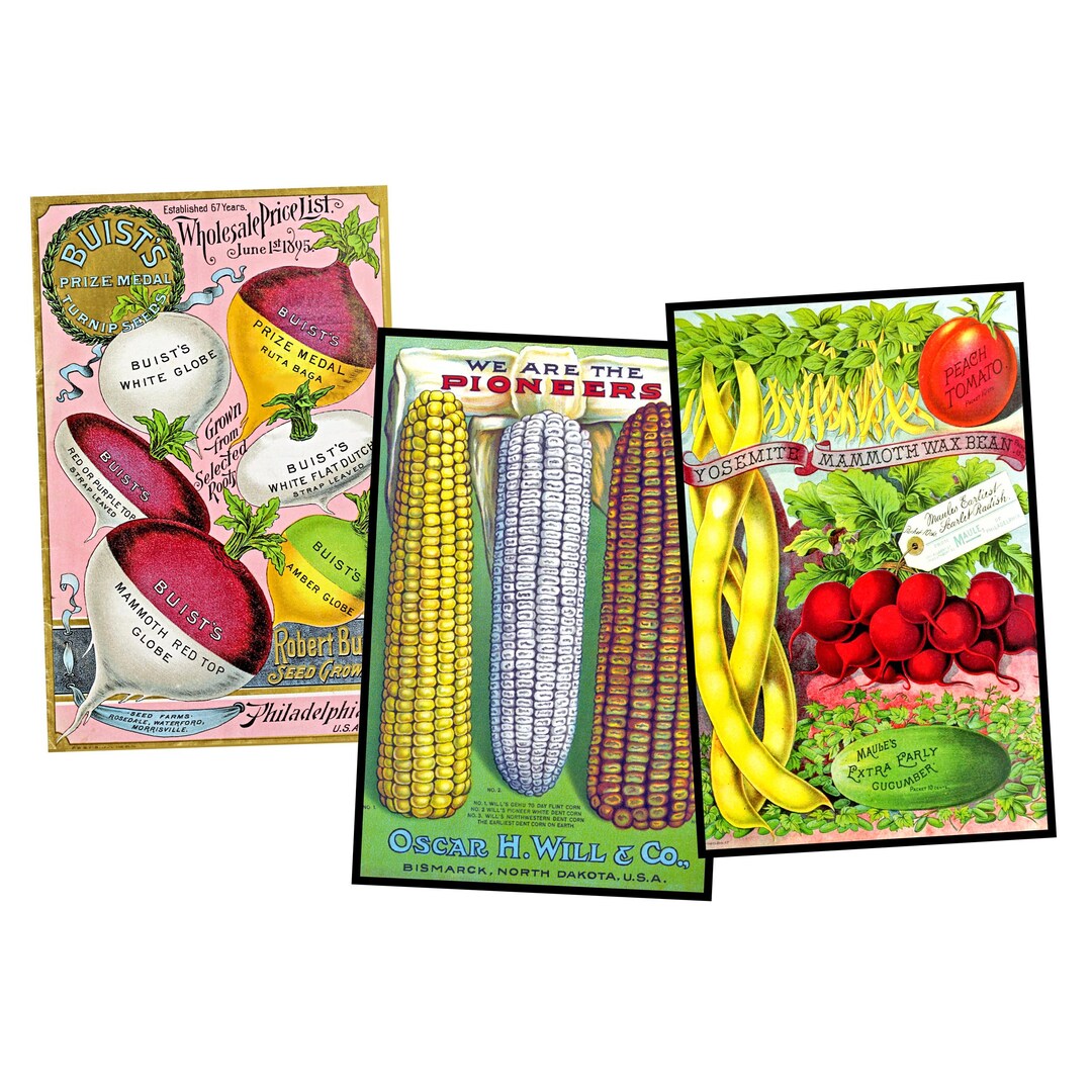 Vintage Garden Seed Packet Stickers: DIY Scrapbooking, Set 76 - Etsy
