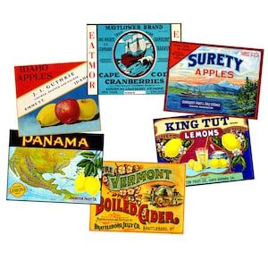 Kitchen Label Art Stickers Gift Set, 6 Big Colorful 4" X 3" Fruit Crate ...