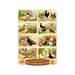 Fancy Pigeon Stickers. Antique Pigeon Illustrations, Great for Journals ...