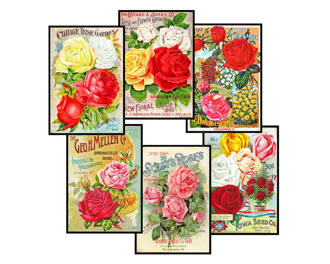 Rose Garden Stickers, 6 Old Fashioned Colorful 4" X 2.75" Seed Packet ...