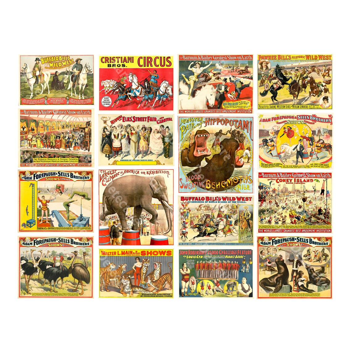 Circus Carnival & Wild Animal Posters and Billboards for - Etsy