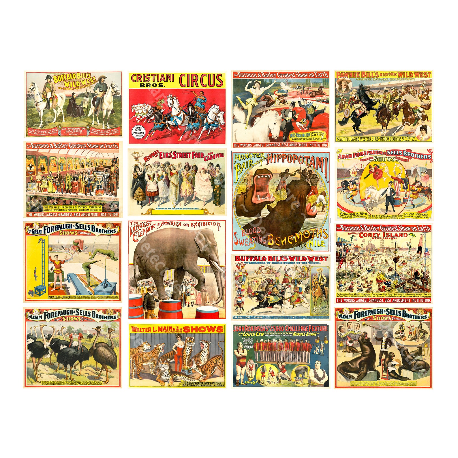 Circus Carnival & Wild Animal Posters and Billboards for - Etsy