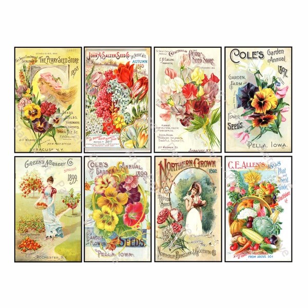 Flower Seed Packets - Etsy