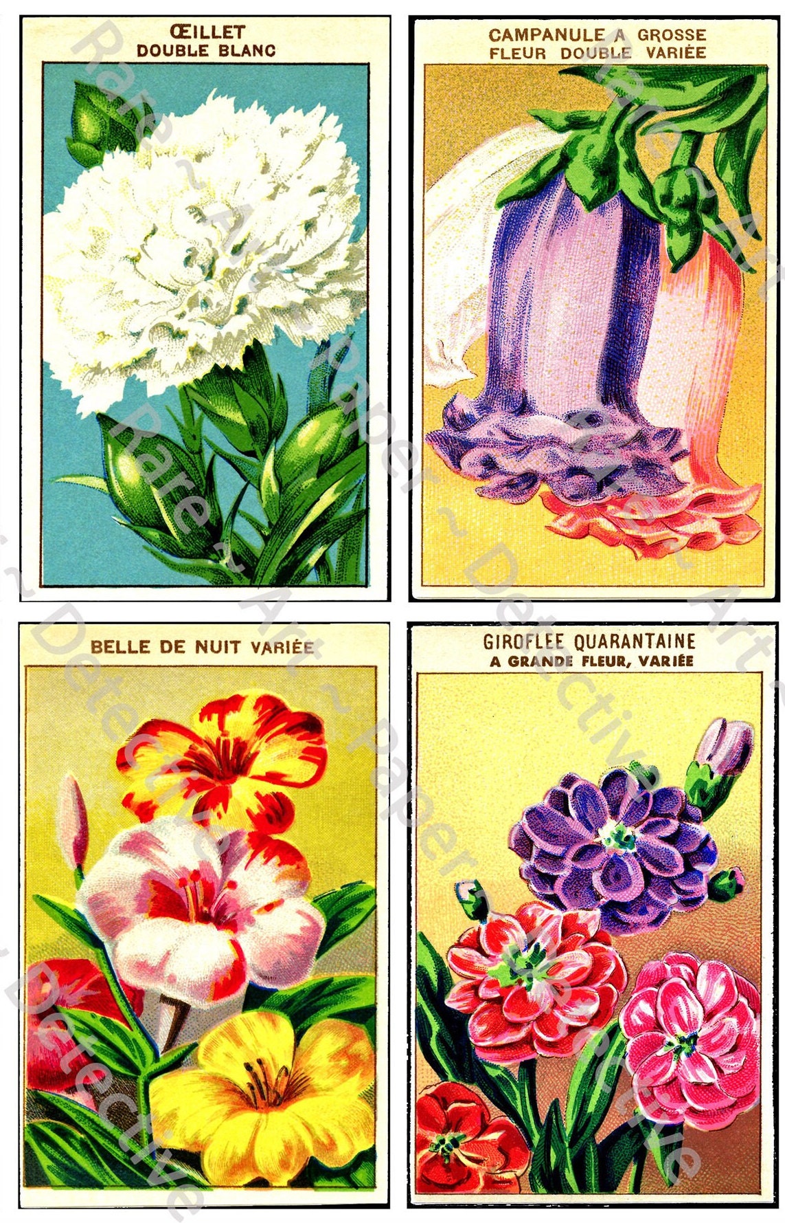 Seed Pack STICKERS, French Flower Seed Packets, Garden Decoration ...