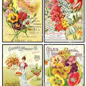 Seed Packet STICKERS, 8 Antique Seed Annual Covers for Gardening ...