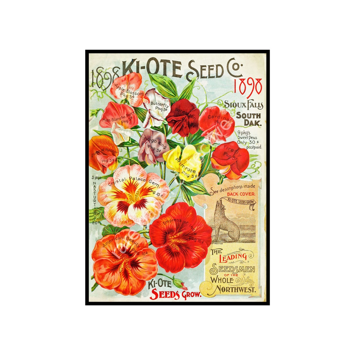 Seed Pack Art Catalog Print 5 X 7 1898 Wall Art Accent - Etsy