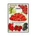 Strawberry Garden Seed Catalog Print, 5 X 7, 1901 Vintage Label Art ...