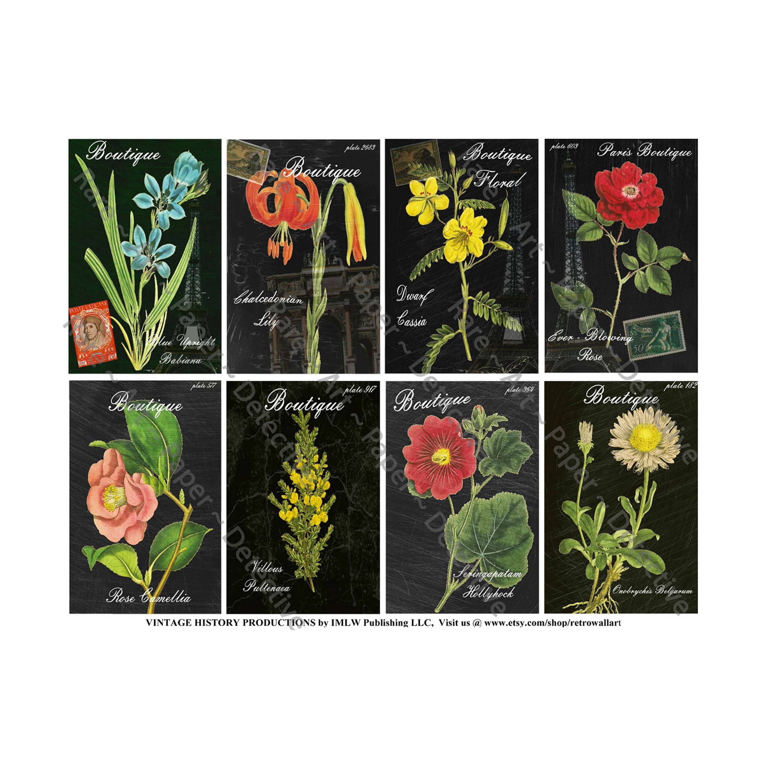 French Flowers Drawing