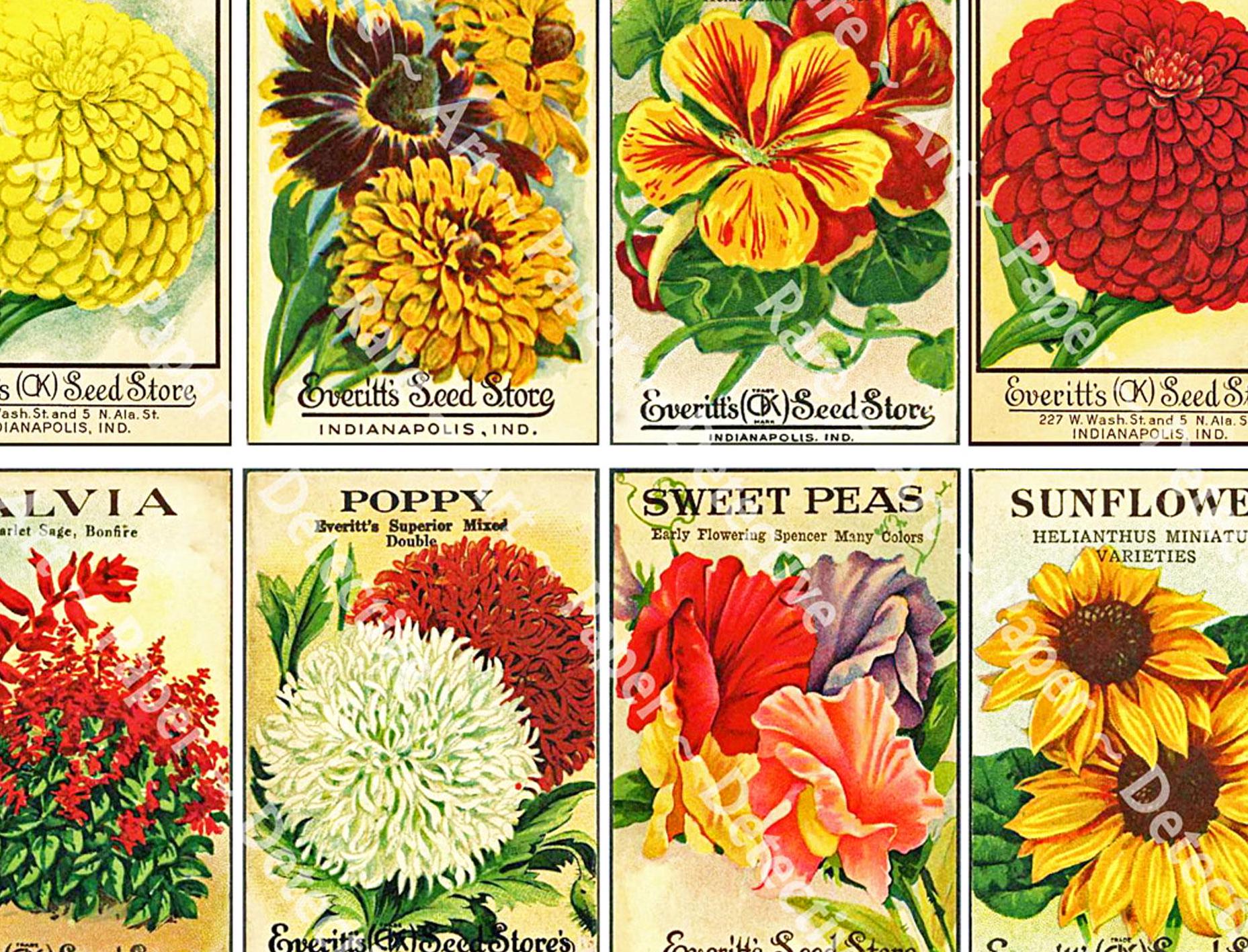 Antique Flower Seed Packet Sticker Sheet, Vintage Seed Packs for Garden ...