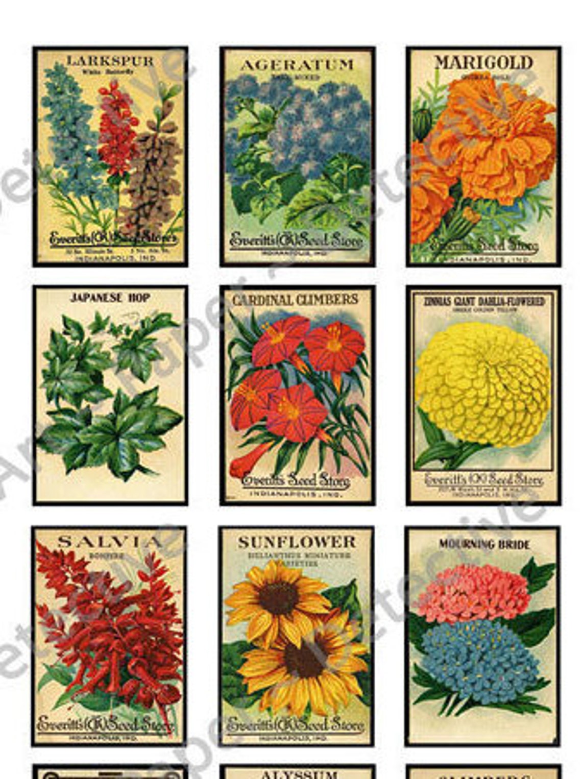 Botanical Greeting Card Seals Envelope Seals Old Flower Seed - Etsy
