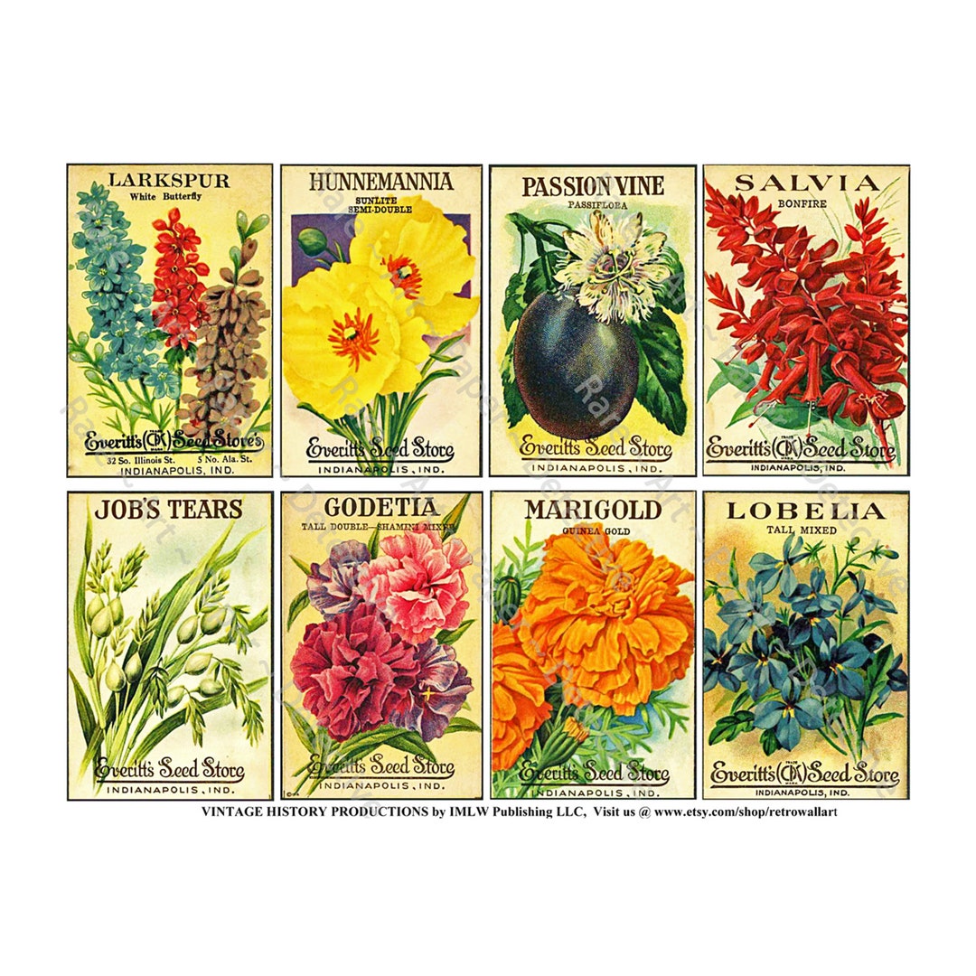 Antique Flower Seed Packets, Sticker Sheet, Vintage Seed Packs, Garden ...