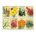 Antique Flower Seed Packets, Sticker Sheet, Vintage Seed Packs, Garden ...