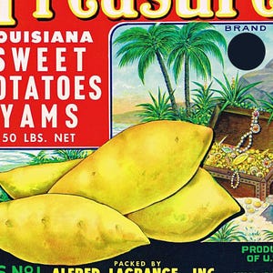 Kitchen Décor, Sweet Potato Fruit Crate Label, 8" X 8", Retro Home ...