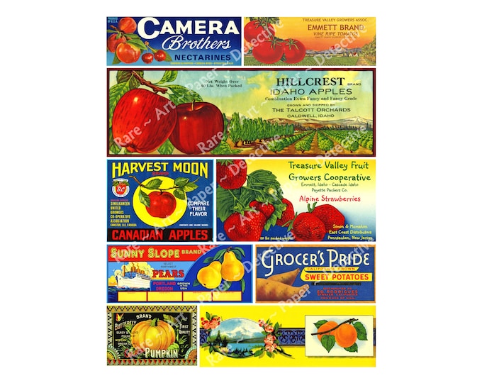 This item is unavailable - Etsy