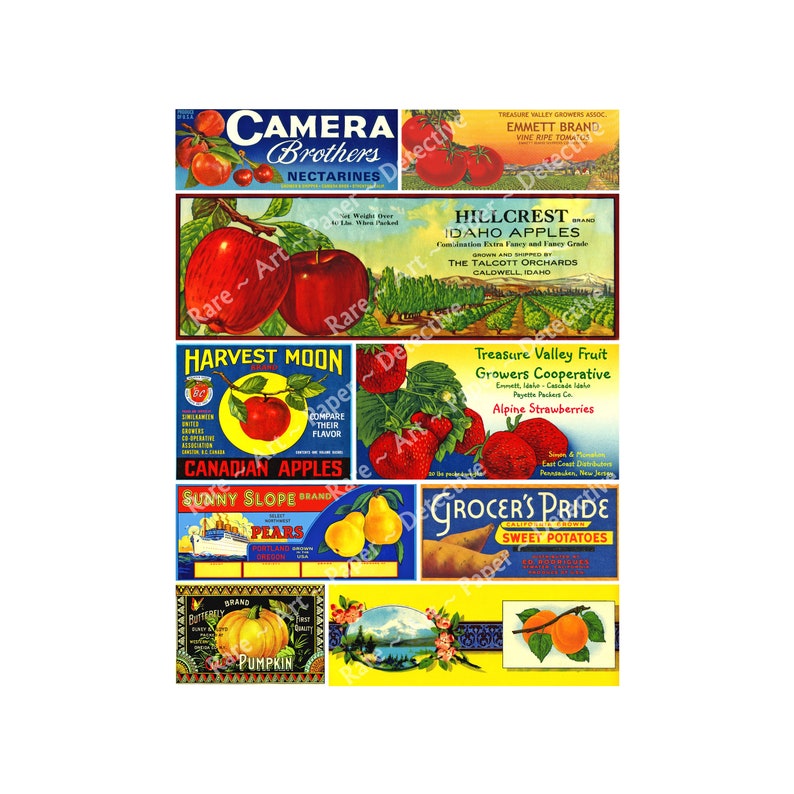 Fruit Crate Label Miniature Stickers Vintage Label Art 9 - Etsy