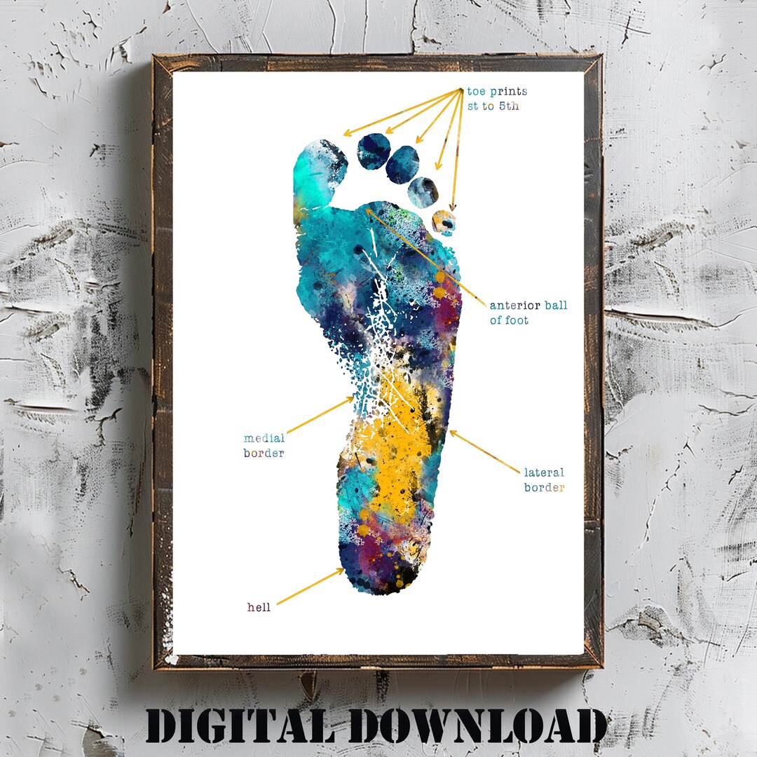 Bare Footprint Wall Art Metric Analysis Methods for Comparison and ...
