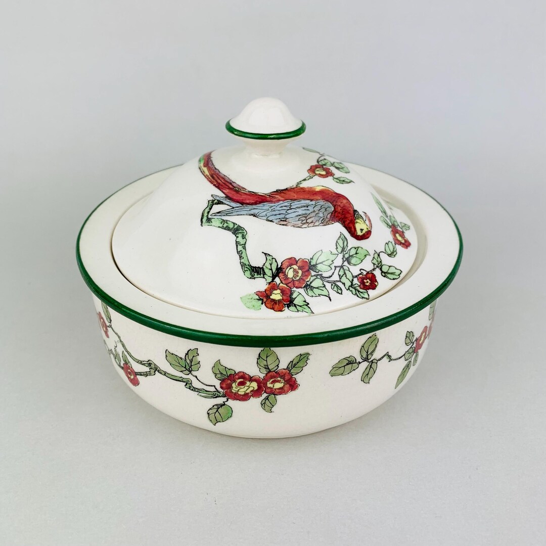 Rare Antique Royal Doulton Parrot & Flower Three Piece Soap Dish D3318 ...